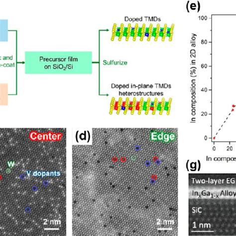 In Situ Substitutional Doping And Alloying Of 2d Materials And