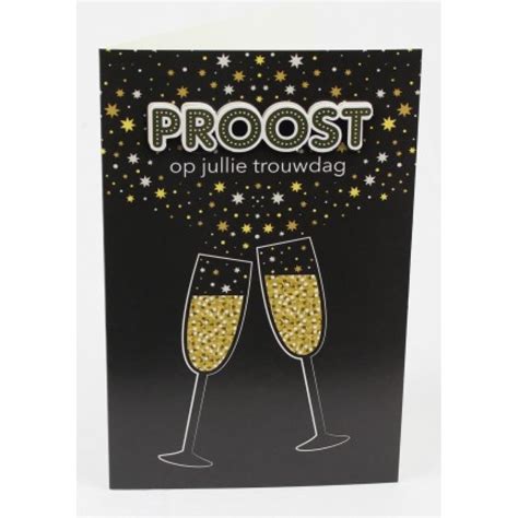 Wenskaart 6 Stuks ADIOS Applicatiekaart Proost Op Jullie Trouwdag