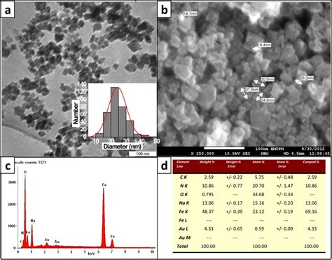 A Tem Image And Size Distribution Of Synthesized Mnps B Fesem Download Scientific Diagram