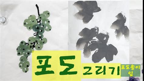 9 3 임천이지향의 열매그리기 청포도열매 먹으로 포도잎 표현 YouTube
