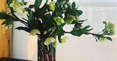 박은영 고수의 자수 레슨 서비스 강원 춘천시 숨고 숨은고수