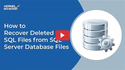 How To Recover Deleted Records In SQL Server