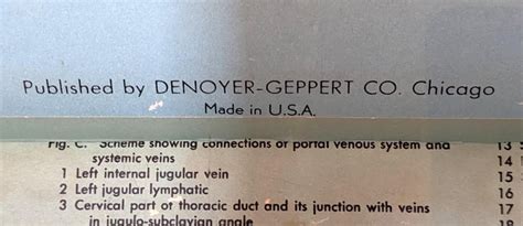 Vintage Anatomy Circulation Chart For Sale At 1stdibs