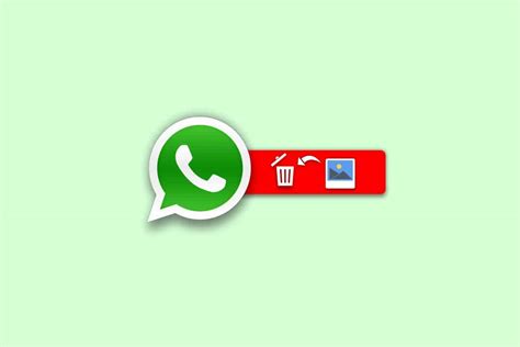 How To Delete Photos On Whatsapp Techcult