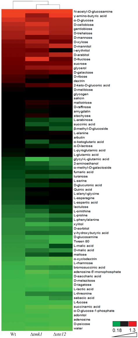 comparative carbon source utilization profiles of the Δste12 and Δtmk1