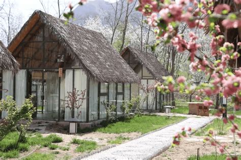 【白银文旅】“黄河湾·林栖水乡”开门迎客娱乐景区美食