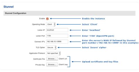 Filenetworking Rutxxx Configuration Examples Openvpn Over Stunnel