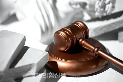서울고법 의대 증원 기각 결정 이후 시나리오 의협신문