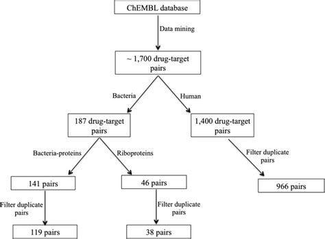 A Workflow Used To Mine Target Ligand Data From The Chembl Version 19 Download Scientific