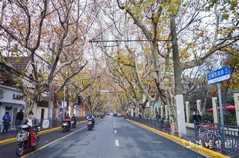陕西南路街道 陕西南路淮海中路 大山谷图库