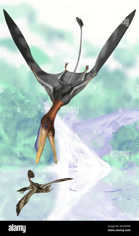 Pterosaur Hunting A Dinosaur Artwork Showing The Pterosaur