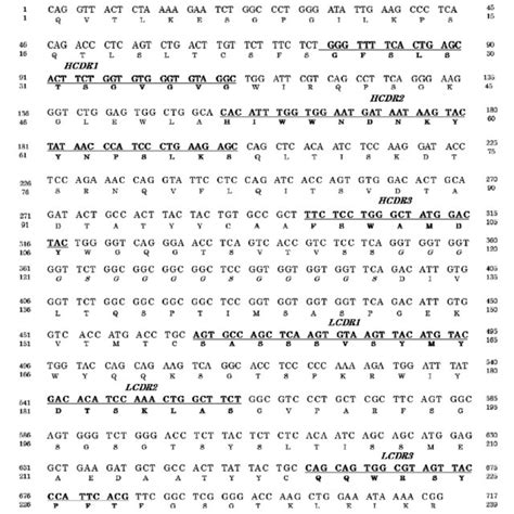 Nucleotide And Deduced Amino Acid Sequences Of Pl Scfv The Linker Download Scientific Diagram