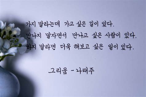 Class101 손글씨기초 정자체 흘림체 No1 금손 맬맬책이랑과 함께하는 금손프로젝트