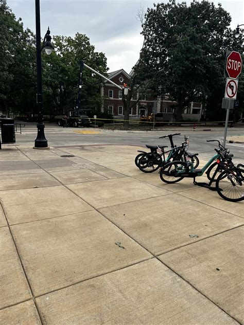 Psa If This Is Your Favorite Campus Treeits Being Murdered Ruiuc