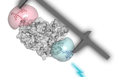 What Does A Nanometer Look Like At Elijah Rubin Blog