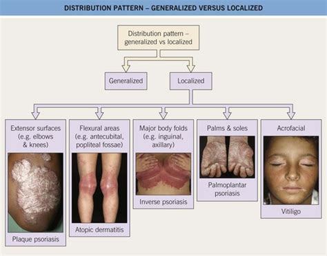 Basic Principles Of Dermatology Clinical Gate Basic Principles Of Dermatology Clinical Gate
