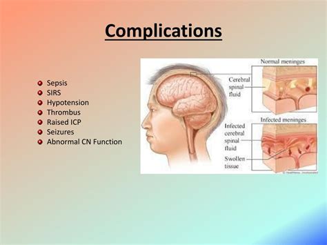 Ppt Meningitis Powerpoint Presentation Free Download Id2030497