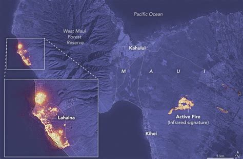 Resources To Support Maui After The Devastating Fires American Art Therapy Association