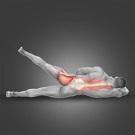 Strengthen Your Back With Erector Spinae Muscles Workout