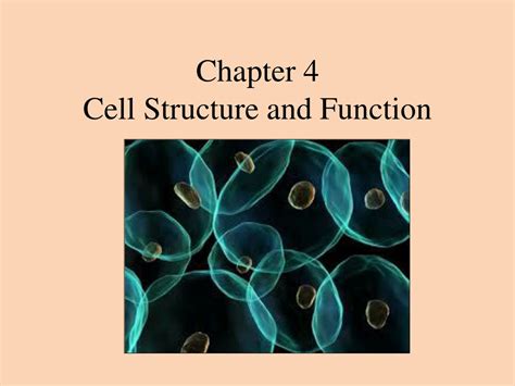 PPT Cell Biology History Discovery And Structure PowerPoint Presentation ID