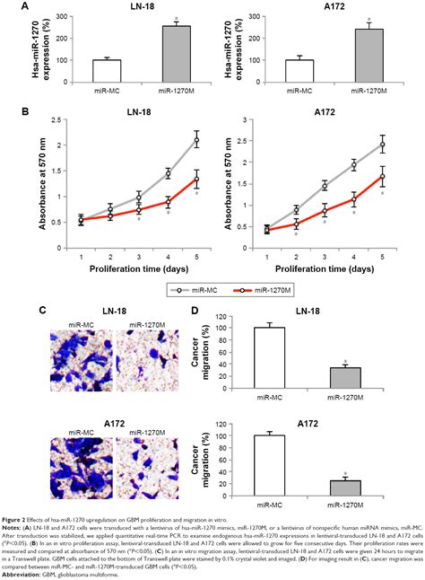 Upregulation Of Microrna 1270 Suppressed Human Glioblastoma Cancer Cel