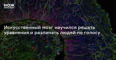 Искусственный мозг научился решать уравнения и различать людей по ...