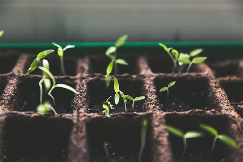 A Beginners Guide To Seeding Data By Rebekah Figueroa Medium