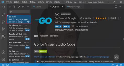 Vscode Go Csdn