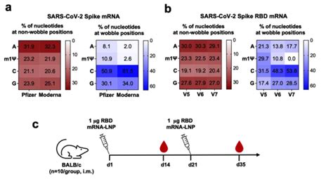 Pedro Morais On Linkedin Codon Optimization Rna Expression