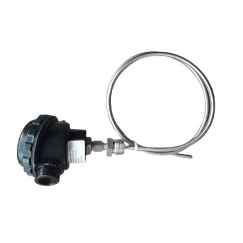 Head Type Rtd Sensor Cpi Technology Private Limited Ahmedabad