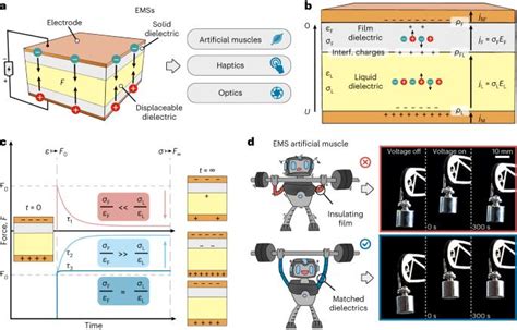 Stephanie Soquet On Linkedin Electrostatic Actuators With Constant