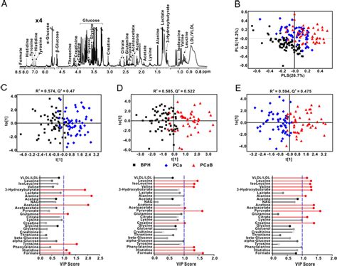 H Nmr Based Metabolomics And Lipidomics Of Microalgae Trends In Plant My Xxx Hot Girl