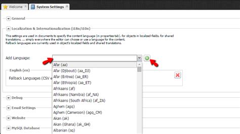 Configure General Settings Pimcore Tutorial FastComet