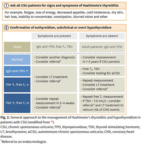 Causes Of Hashimotos Disease