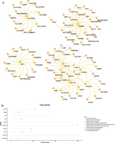 Gene Subnetworks And Top Network Key Drivers KDs Of DEGs In T2D A