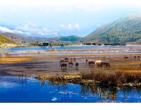 雲南去有風的地方 大理麗江 玉湖村探尋茶馬古道8日 自由行 團型特色 Lamigo那米哥國際旅行社