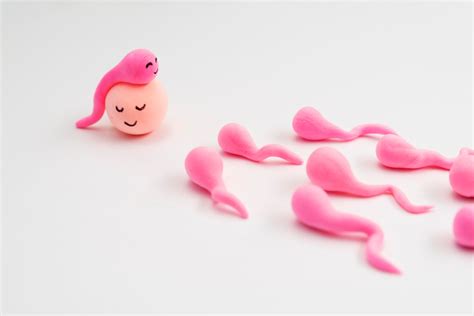 How To Increase Sperm Count By Food Tips For Better Fertility