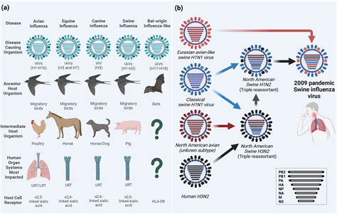 Zoonosis Que Es