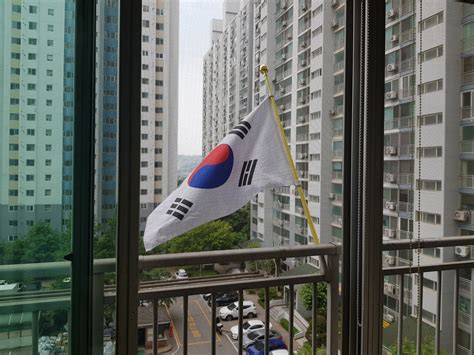 조기게양 국내축구 에펨코리아