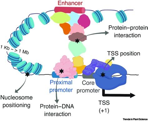 Springer Lab Publications