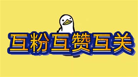 互粉互赞互关 请留言 回访哔哩哔哩bilibili