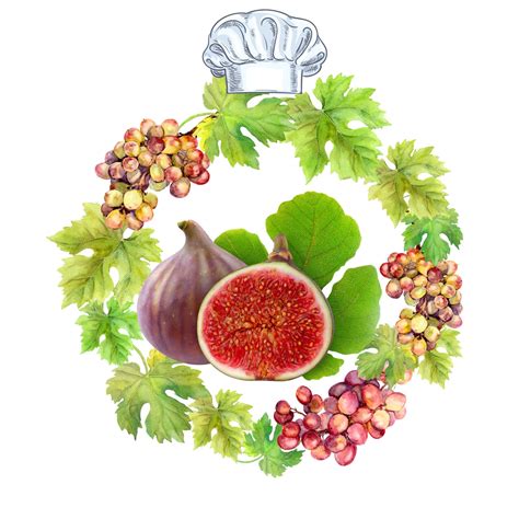 Mg Pappas Fig Balsamic Vinegar From Modena Aged Thick Sweet Syrup