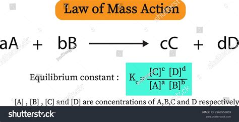 Law Mass Action Vector Image Stock Vector Royalty Free 2260550859