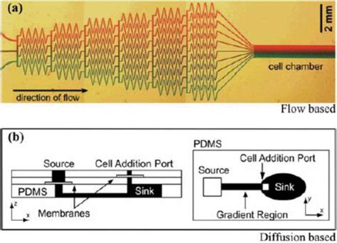 A Convective Flow Based Microfluidic Device Made Of Pdms A A