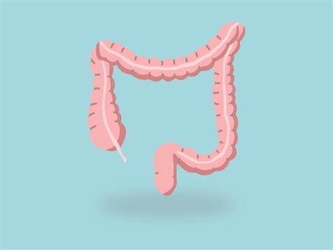 Rectal Vs Colon Cancer How They Differ
