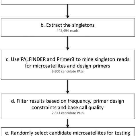 Flowchart Detailing The Bioinformatic Pipeline Used To Identify Download Scientific Diagram