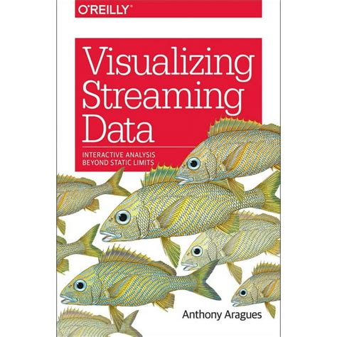visualizing streaming data interactive analysis beyond static limits paperback