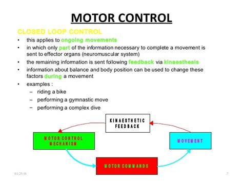 Motor Programmes