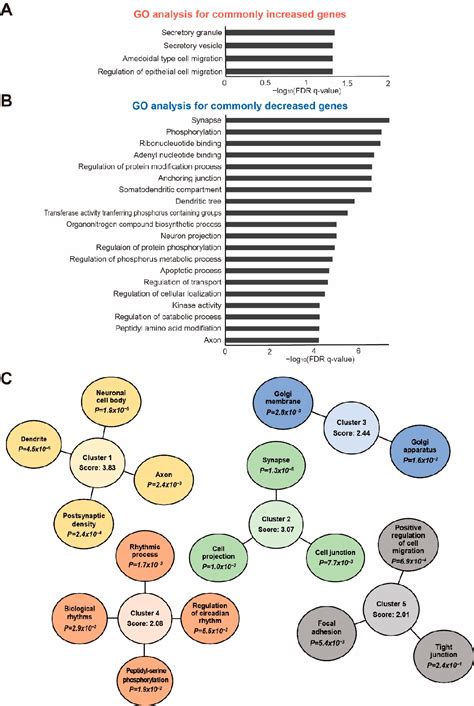 Figure 3 From Transcriptome Profile In The Mouse Brain Of Hepatic
