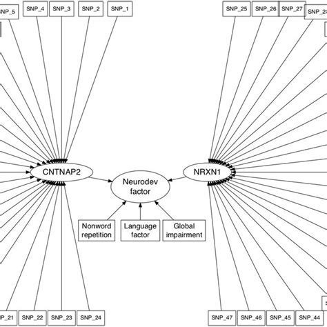 Structural Equation Diagram For Analysis The Gsca Analysis Estimates